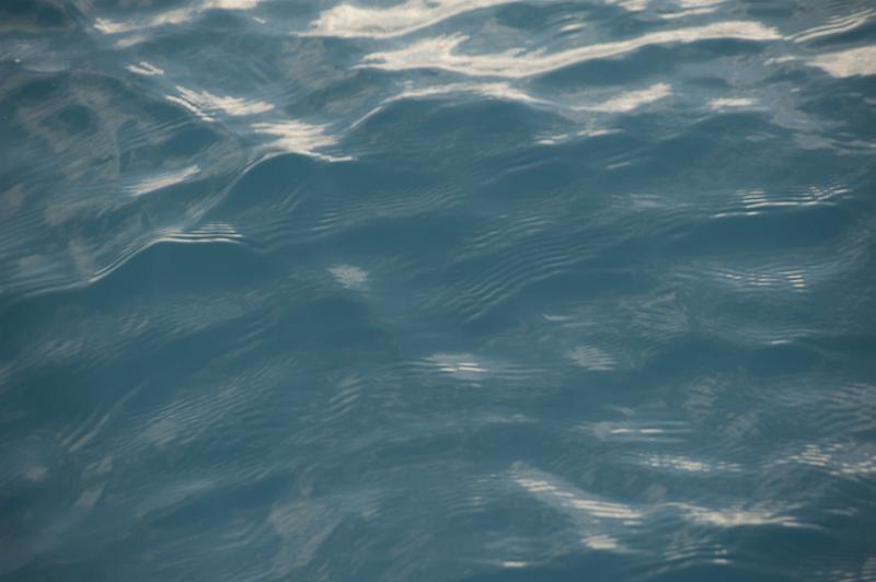 Free image of Top down view on water ripples