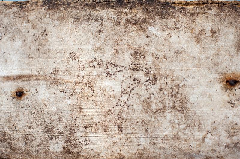 Free image of old wood surface