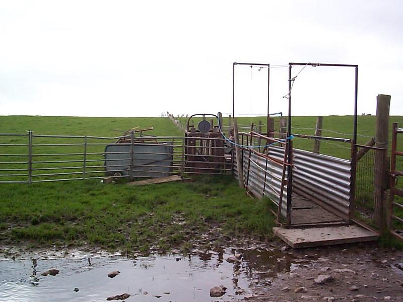 Free image of Livestock gate on a farm into a muddy paddock