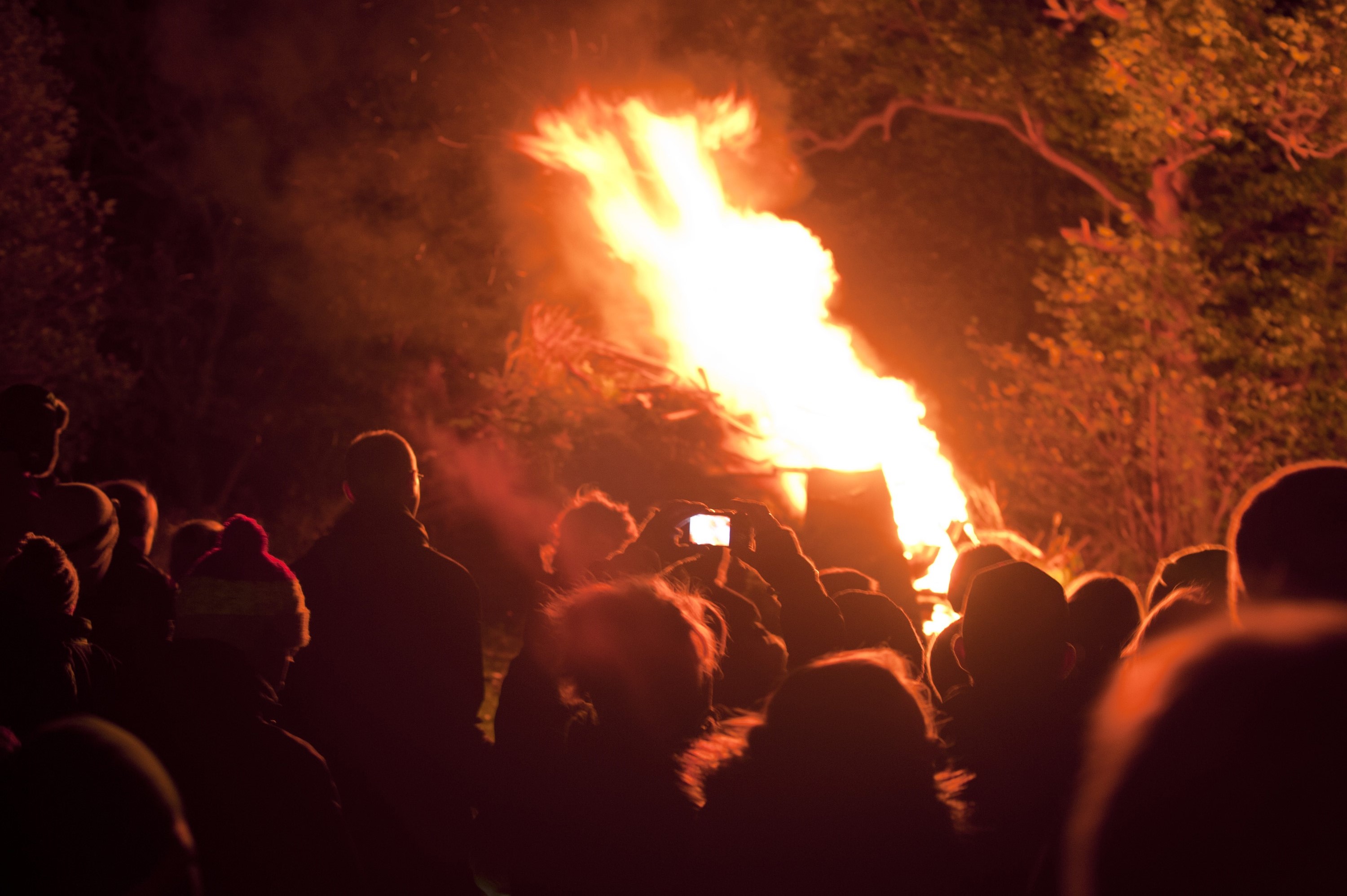 Bonfire With People