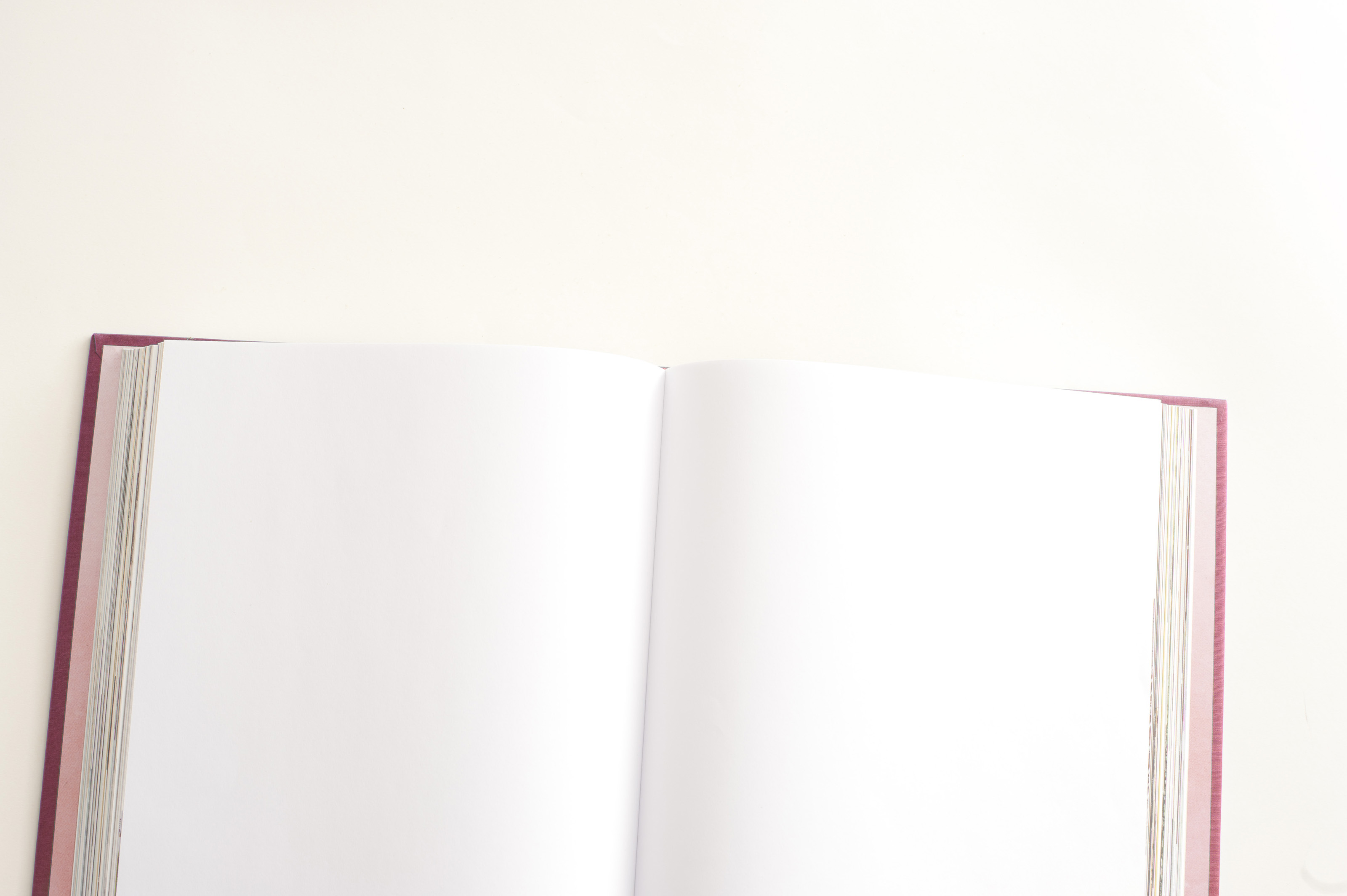 Blank Open Book