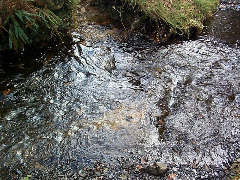 Free image of Flowing stream