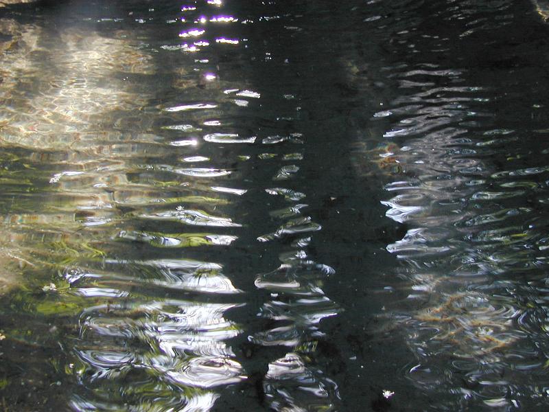 Free image of Rippling reflections on calm water